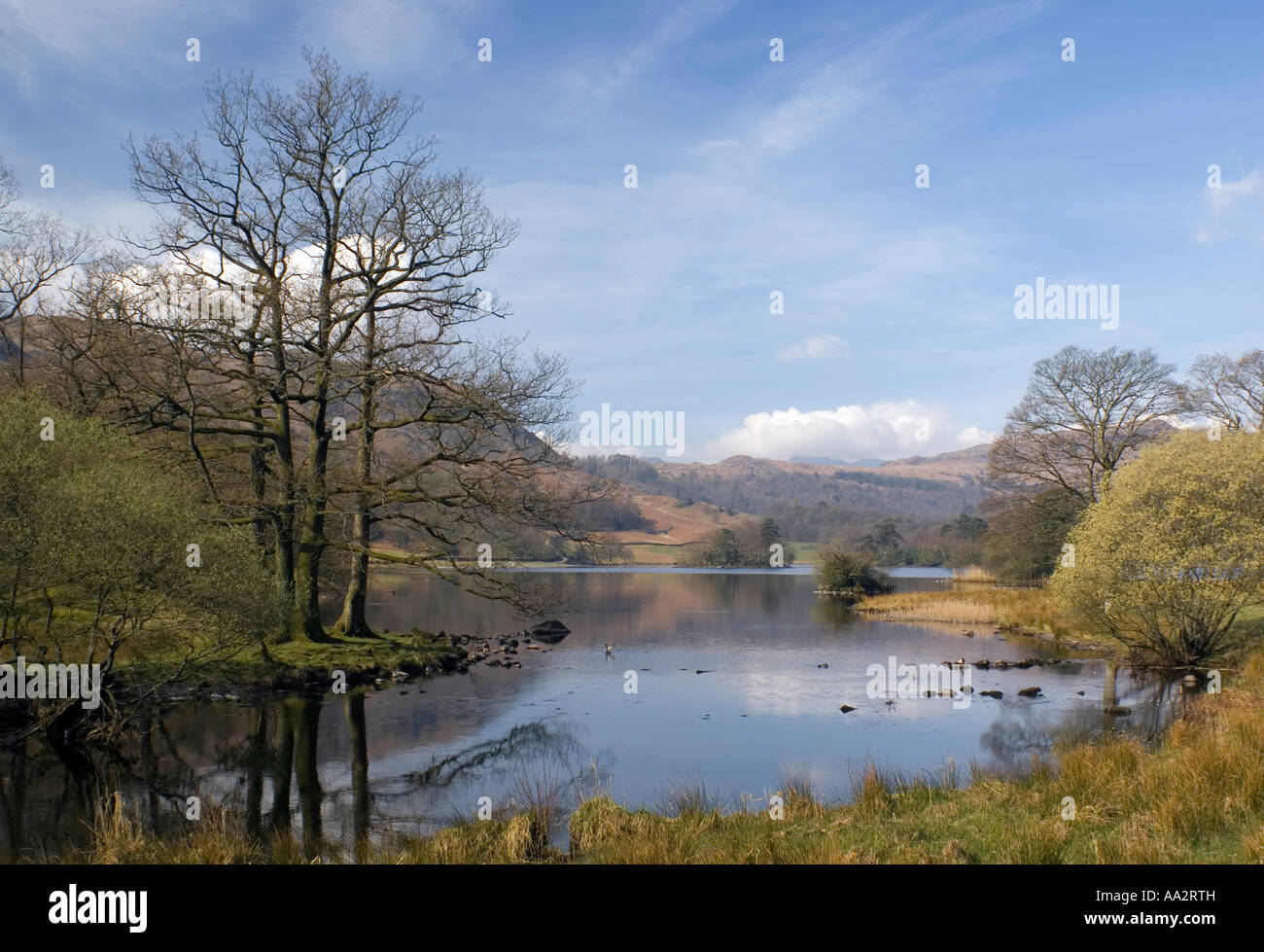 river brathay in winter Stock Photo - Alamy