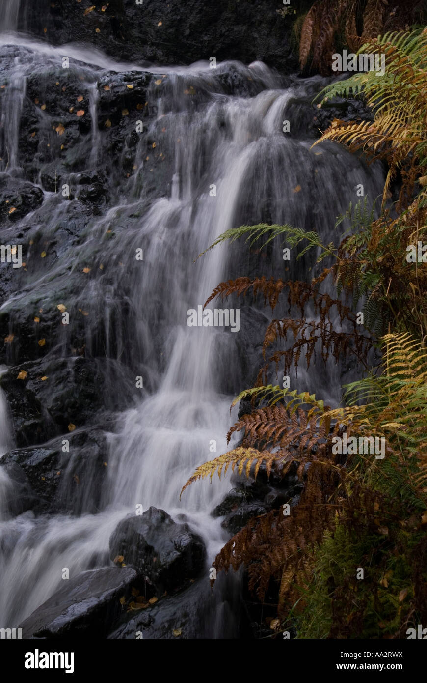 barrow beck falls - lake district Stock Photo - Alamy