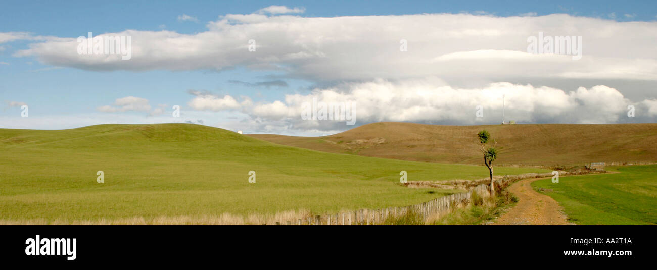 panoramic Teletubby Landscape New Zealand Stock Photo - Alamy