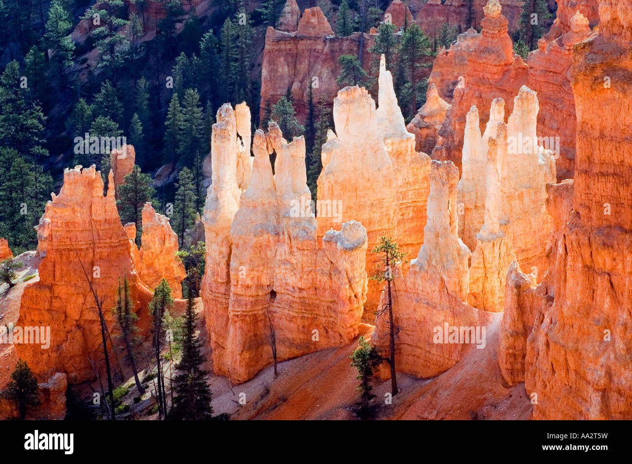 bryce formations at dawn Stock Photo - Alamy