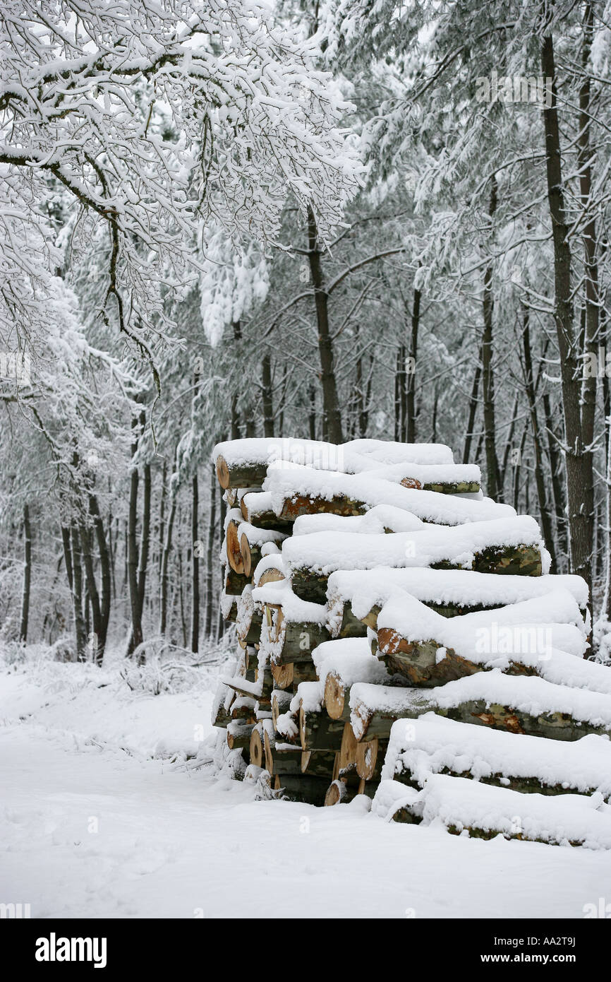 logs covered of snow Stock Photo - Alamy
