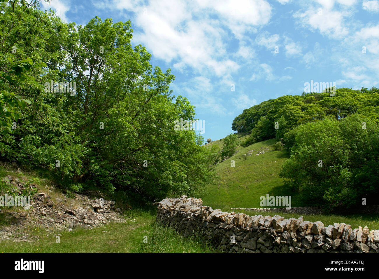 chee dale landscape Stock Photo - Alamy