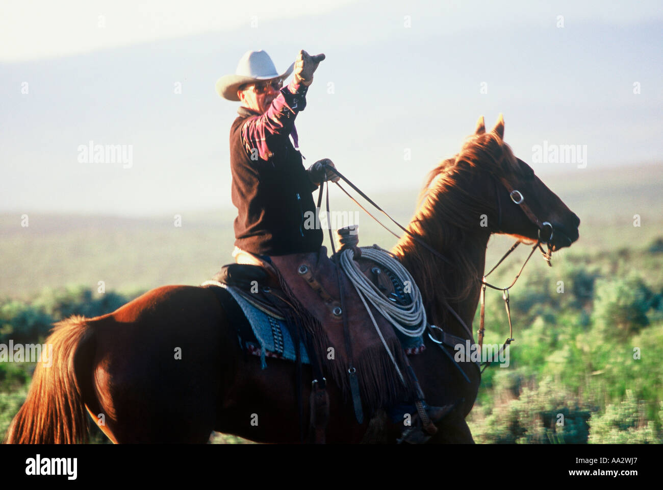 A working cowboy pointing in a direction from horseback on an Oregon ...