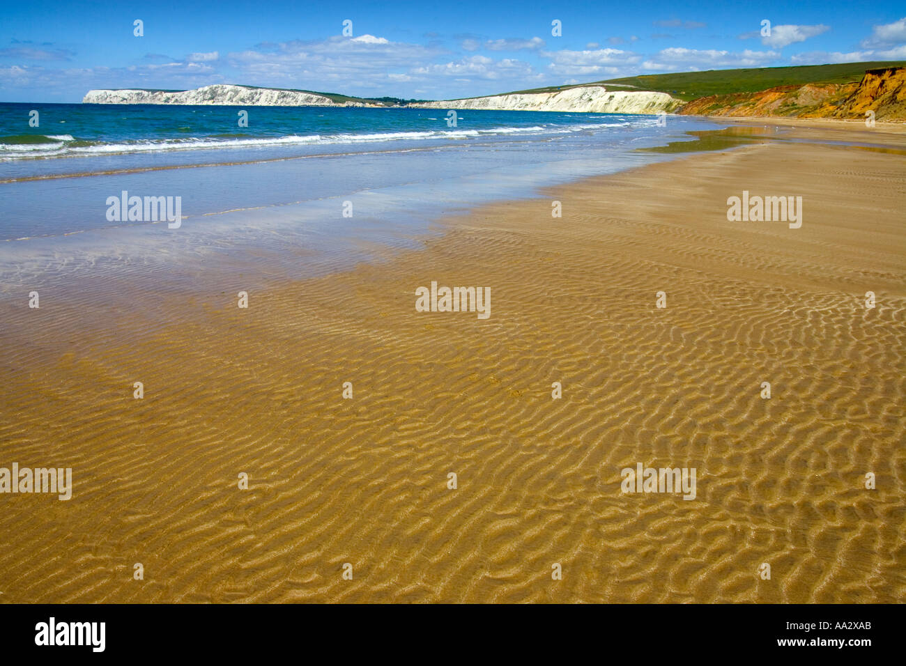 Compton bay fossil hi-res stock photography and images - Alamy