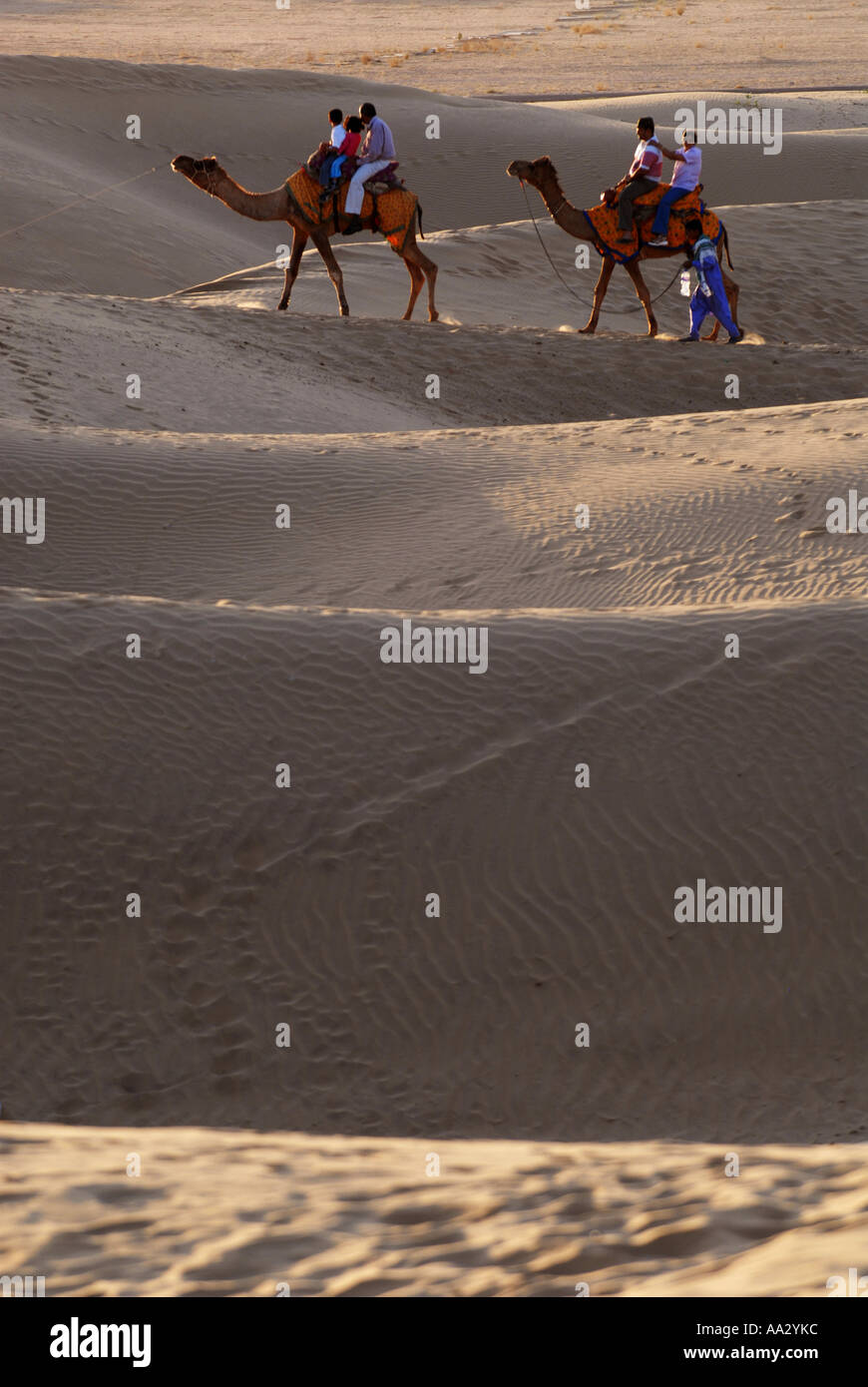 Late afternoon in the sand dunes of Sam in the desert near Jaisalmer ...