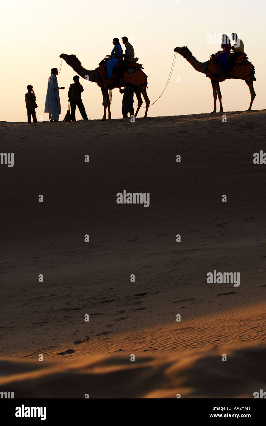 Late afternoon in the sand dunes of Sam in the desert near Jaisalmer ...