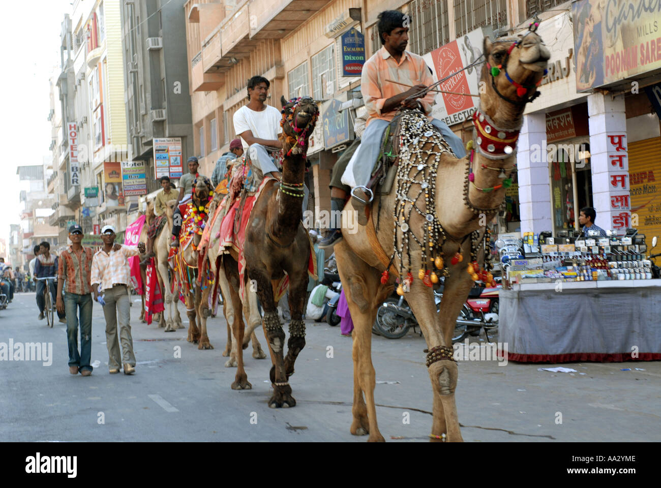Camel procession india hi-res stock photography and images - Alamy