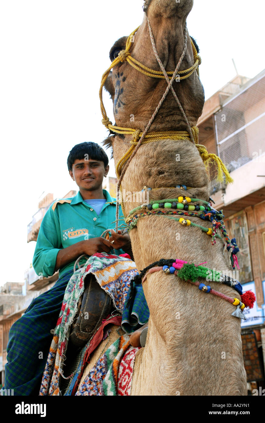 Camel procession india hi-res stock photography and images - Alamy