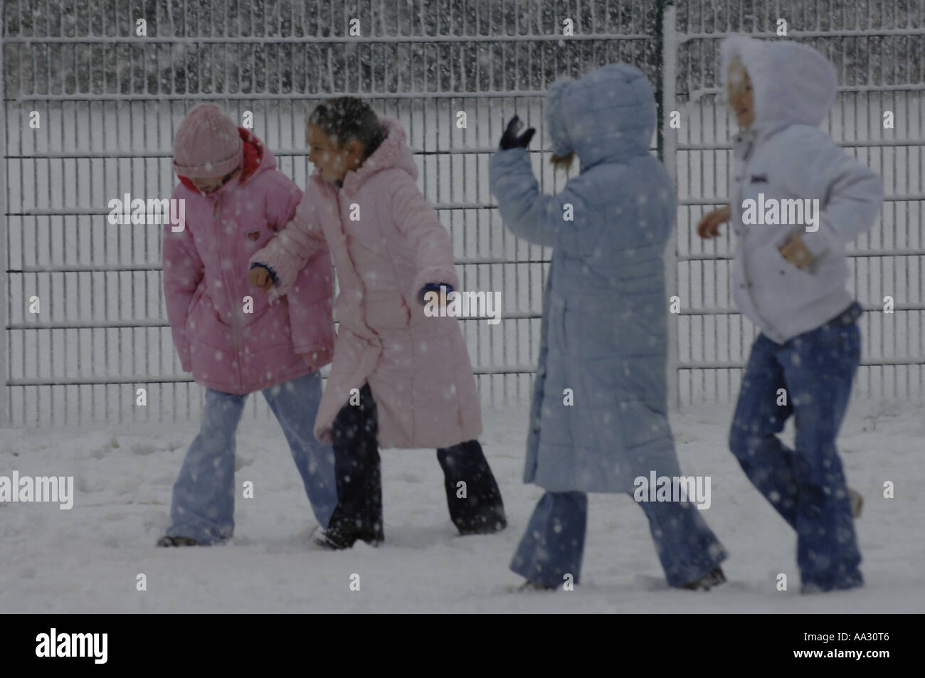 snowball fight snowing snow winter wintry weather cold freezing frozen ...