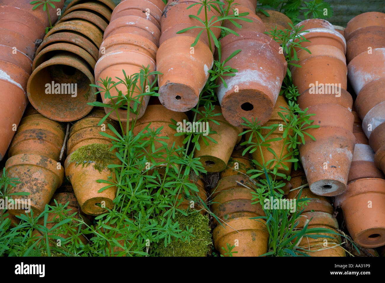 Clay Flower Pots in Garden Setting Stock Photo - Alamy