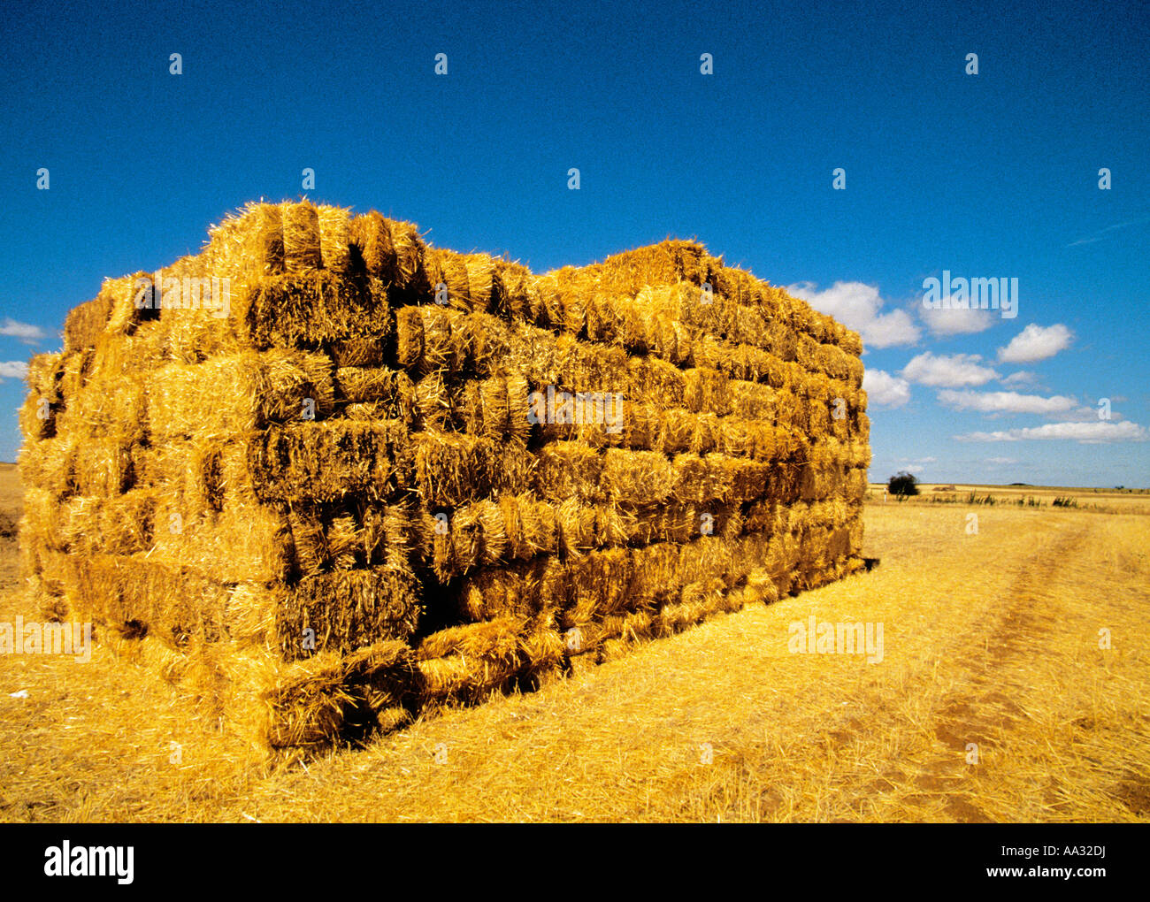 Spain Castile Agriculture. Stacking bales of hay in a farmland field ...