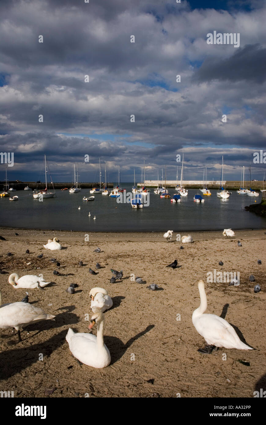 Bray Harbour Stock Photos & Bray Harbour Stock Images - Alamy