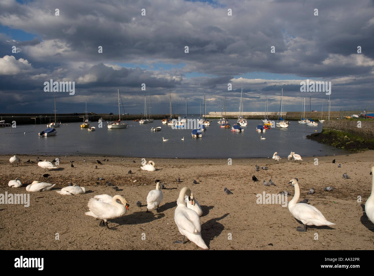 Bray harbour hi-res stock photography and images - Alamy