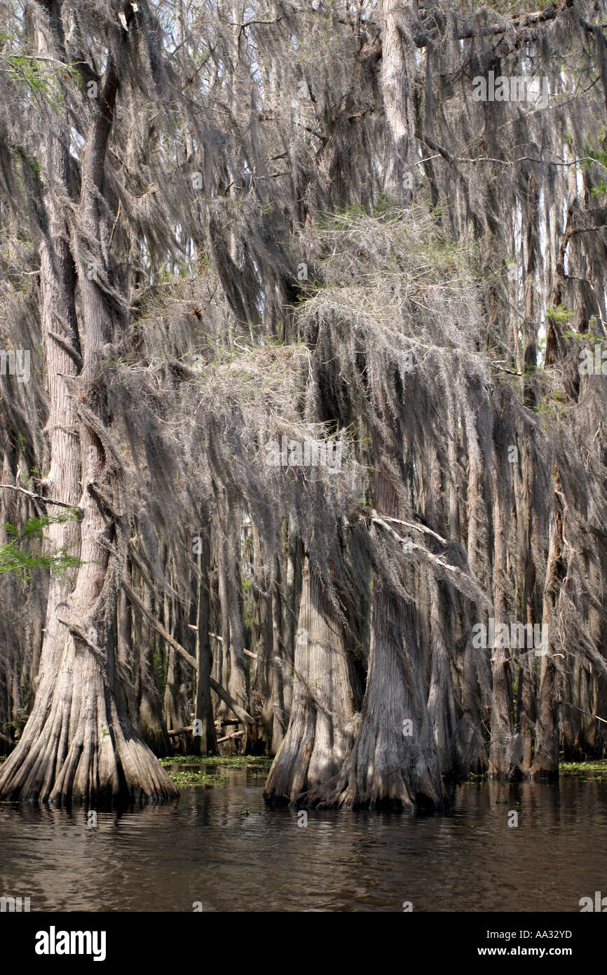Texas marsh land hi-res stock photography and images - Alamy
