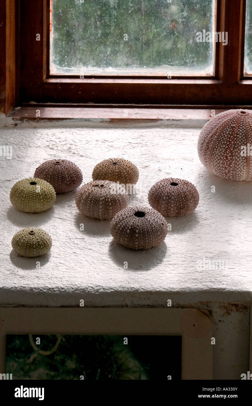 Shell test hi-res stock photography and images - Alamy