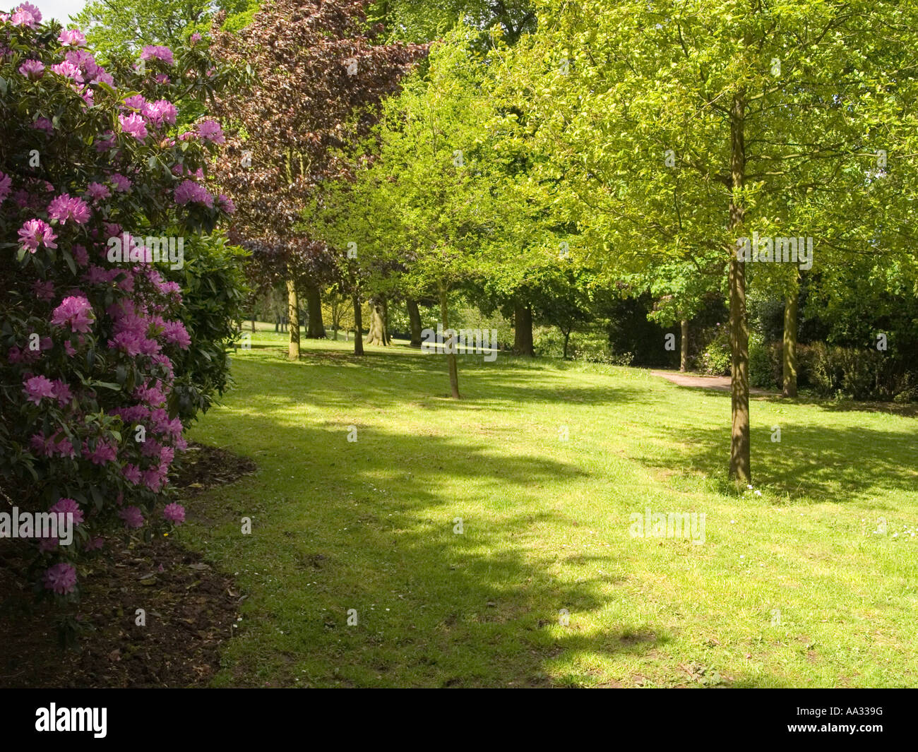 A Bright and Sunny Spring Day in the grounds of Woodthorpe Grange Park ...