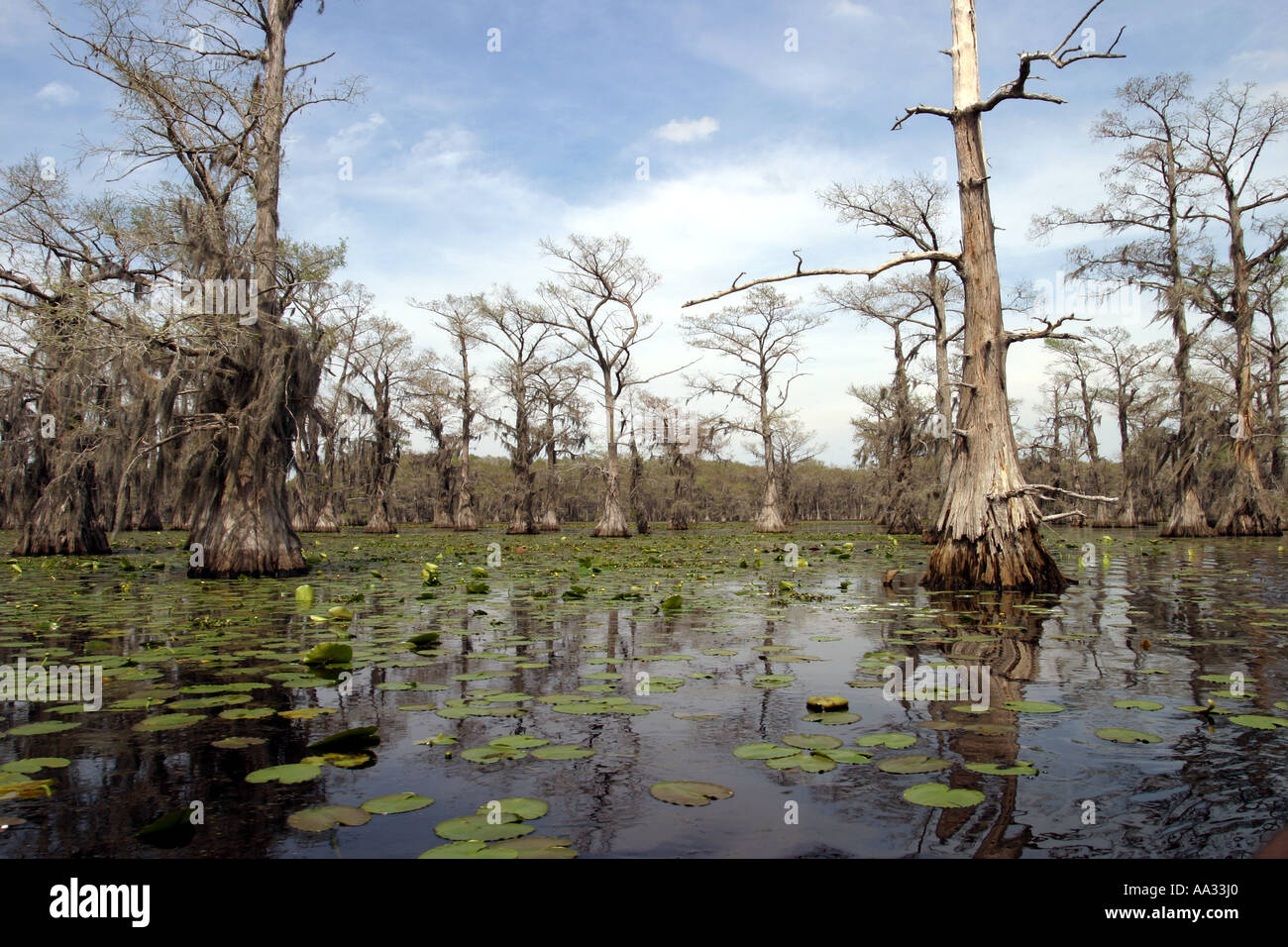 Texas marsh land hi-res stock photography and images - Alamy