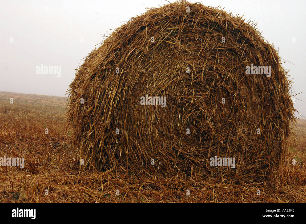 The haystack hi-res stock photography and images - Alamy