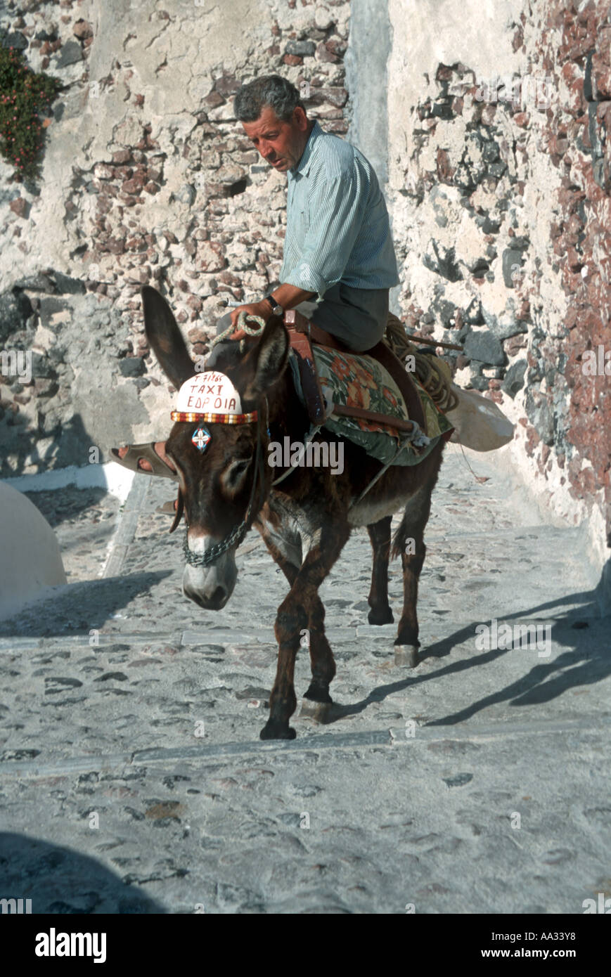 Donkey rider hi-res stock photography and images - Alamy