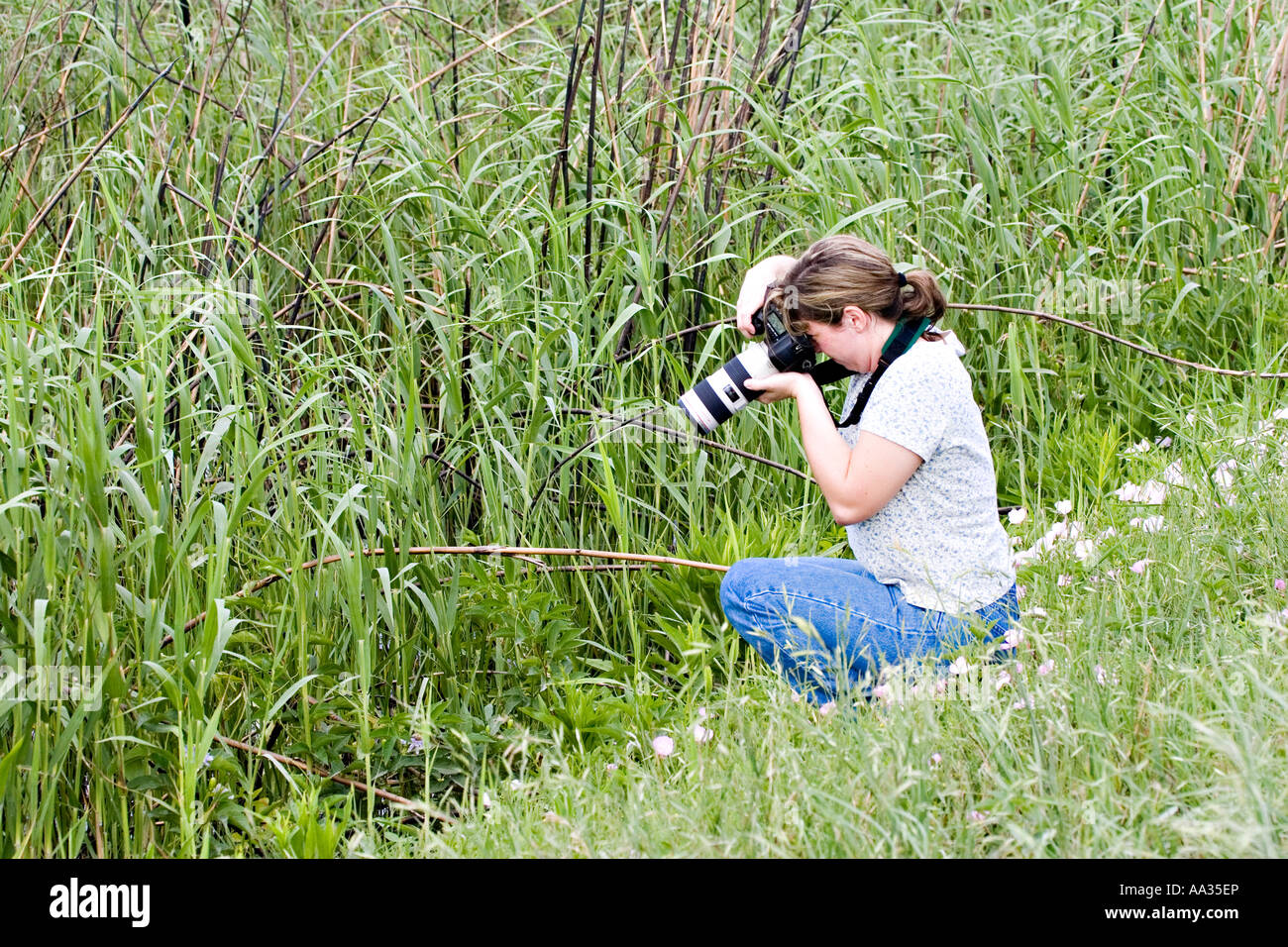 Female photographer taking photos in a grassy swamp Stock Photo - Alamy