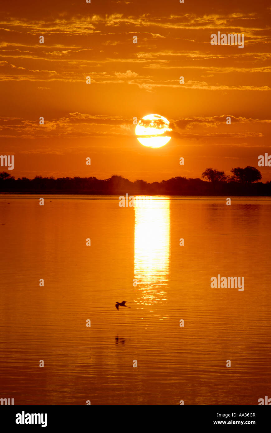 Sunset Chobe River Botswana Southern Africa Stock Photo - Alamy