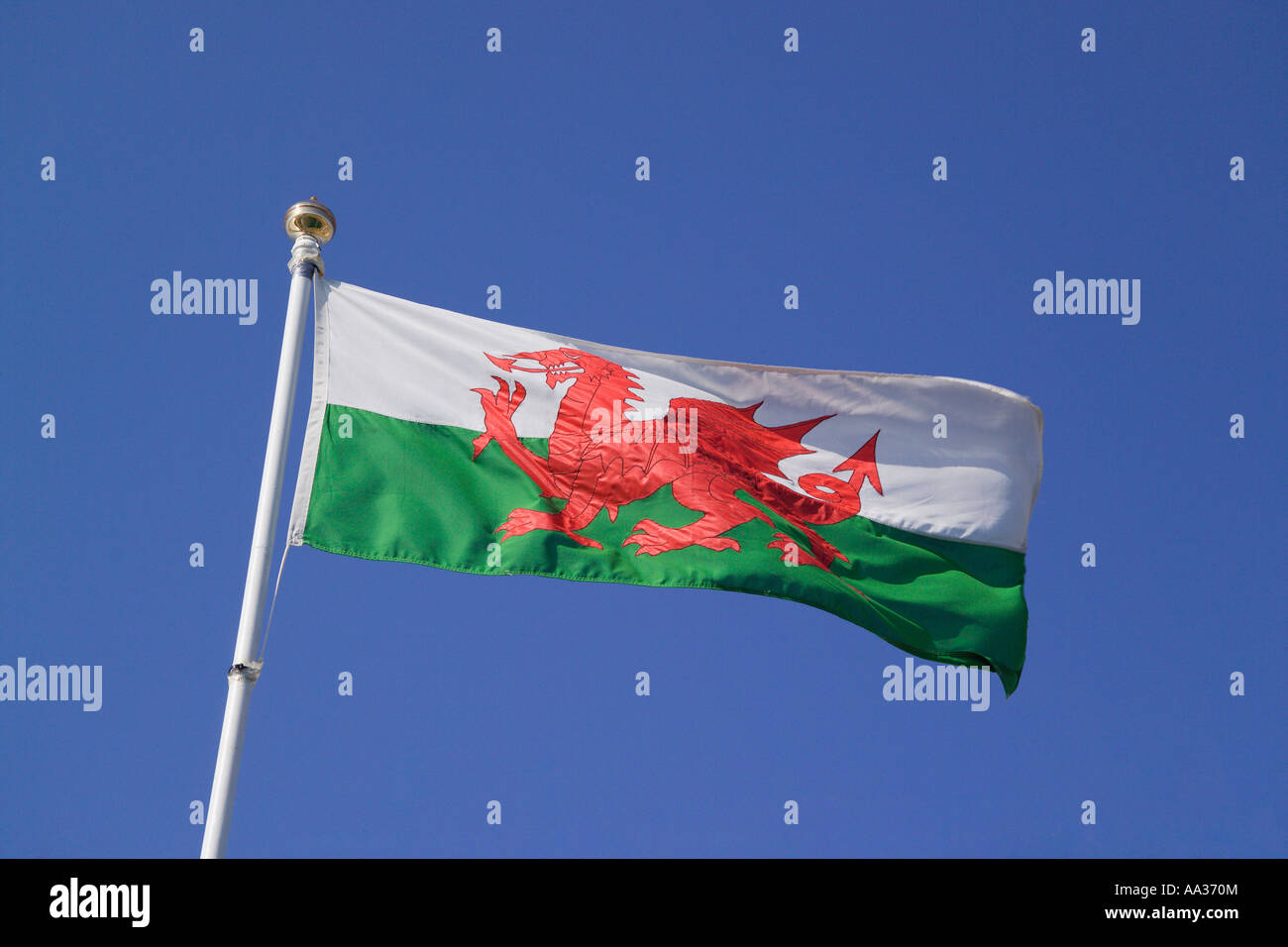 Welsh flag hi-res stock photography and images - Alamy