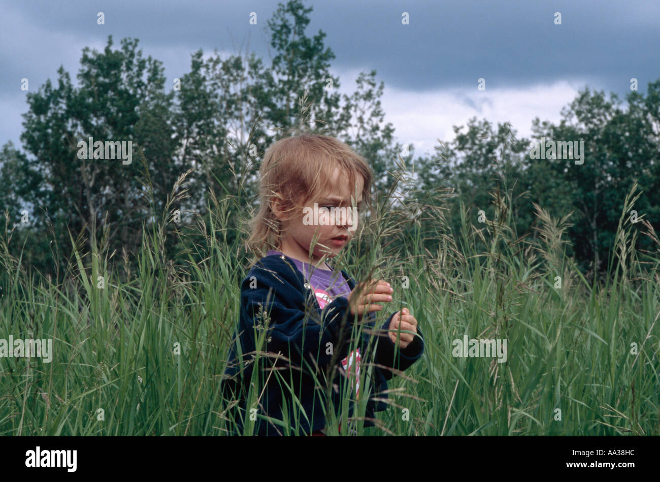 Child in the tall green grass Stock Photo - Alamy