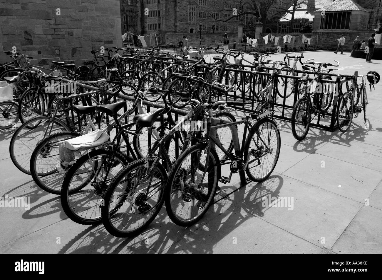 Yale University Bikes on racks Stock Photo - Alamy