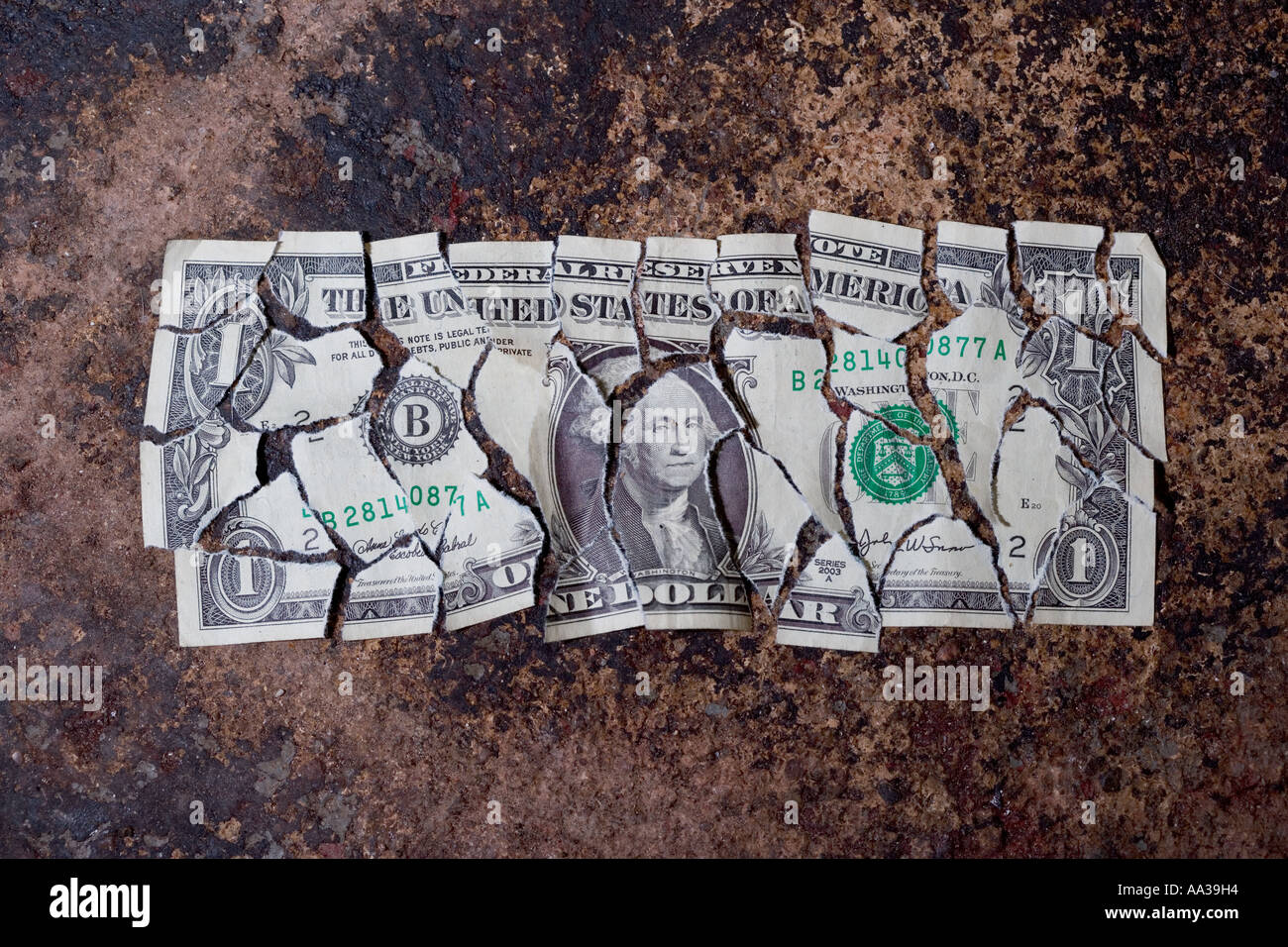 Torn US Dollar Bill USA Dollar Bill Stock Photo - Alamy Torn US Dollar Bill USA Dollar Bill Stock Photo - Alamy