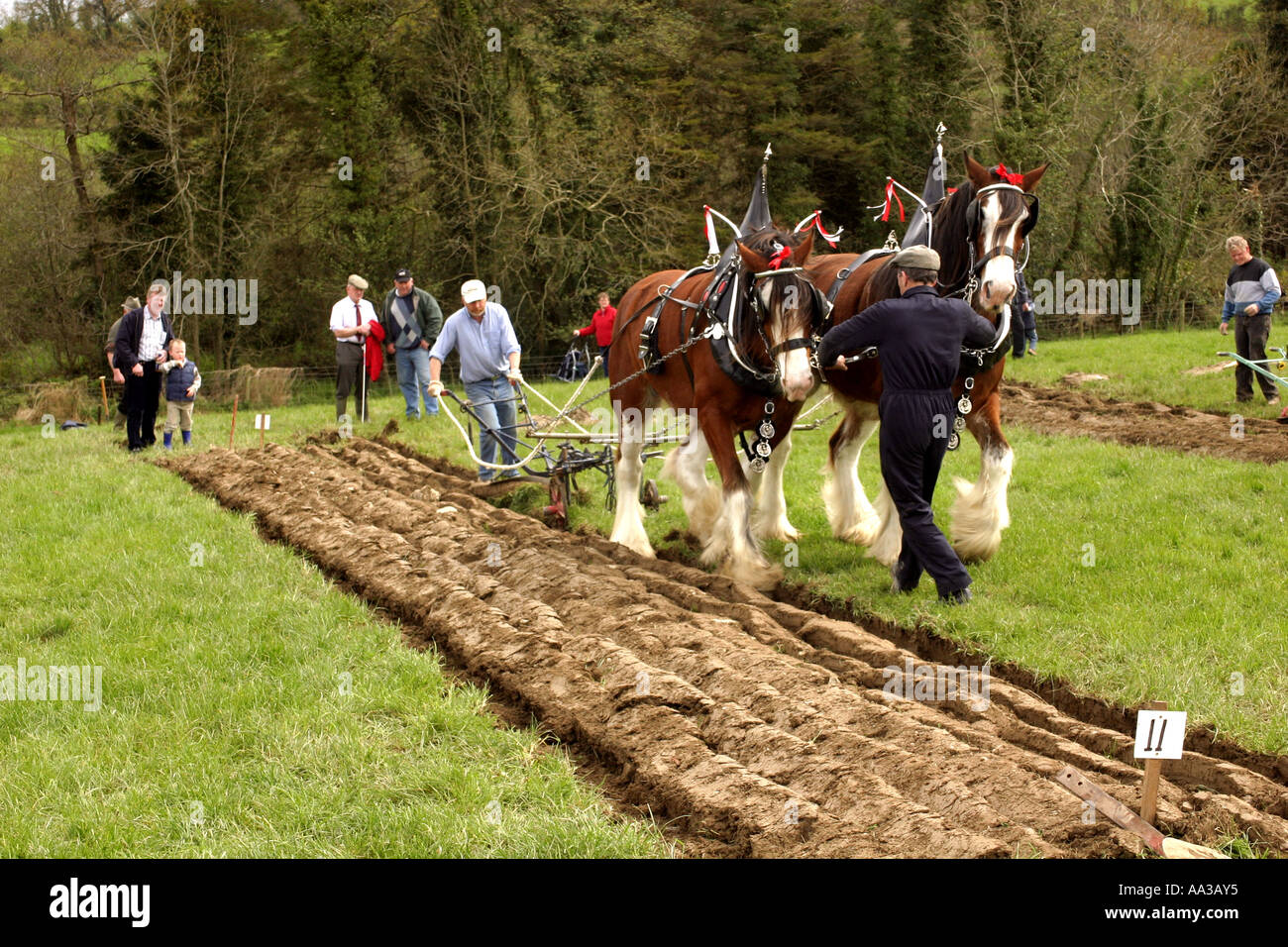 Ploughging hi-res stock photography and images - Alamy