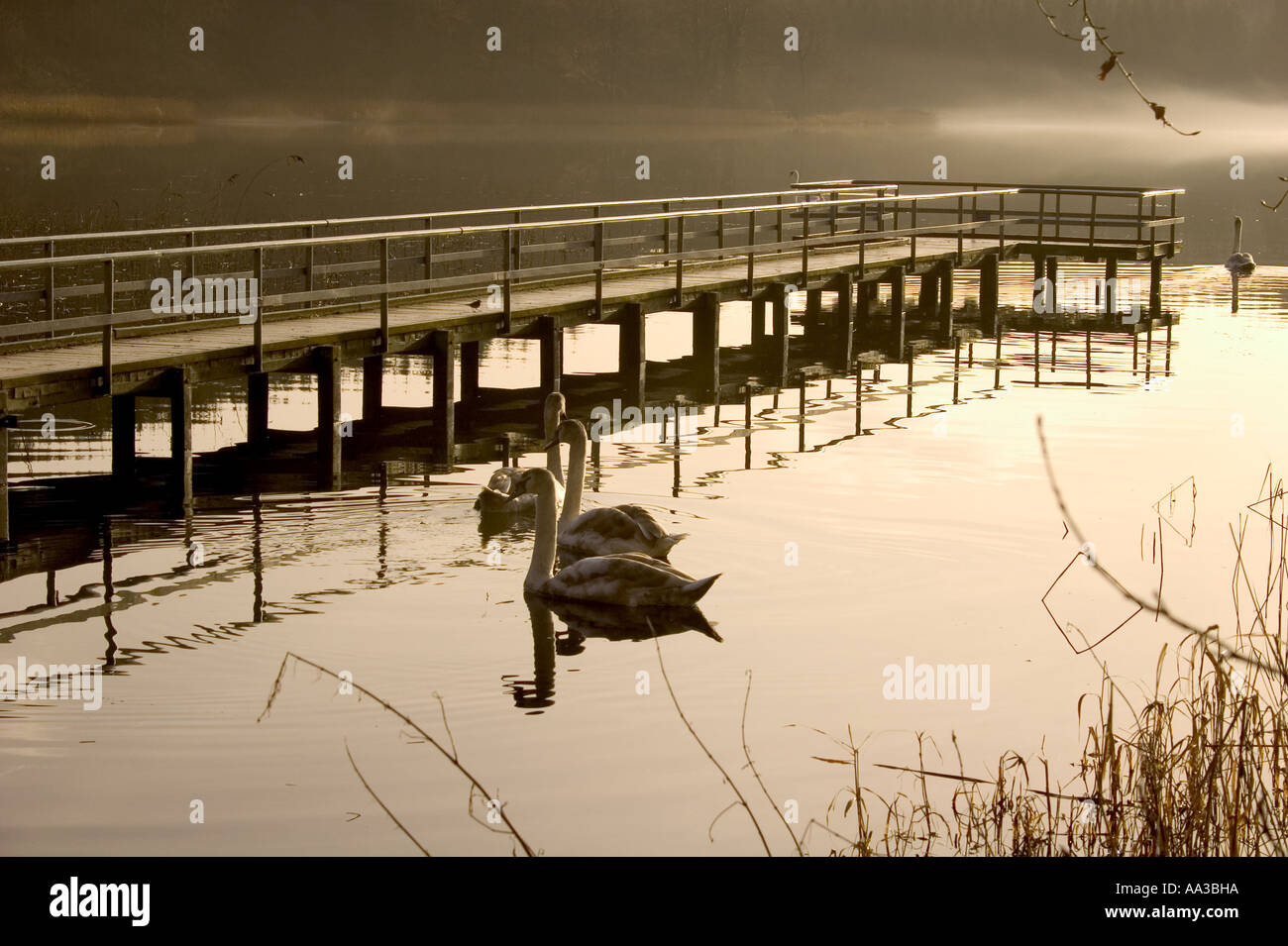 Castle Lake, Co Cavan, Ireland Stock Photo - Alamy