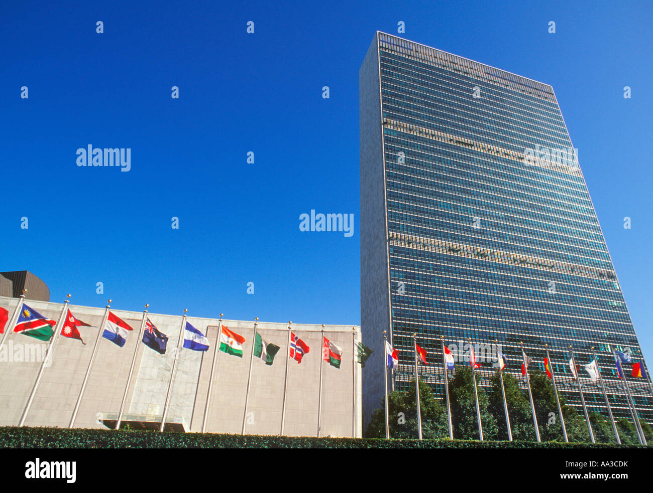 United Nations Headquarters Secretariat Building, New York flags. Exterior of historic landmark ...