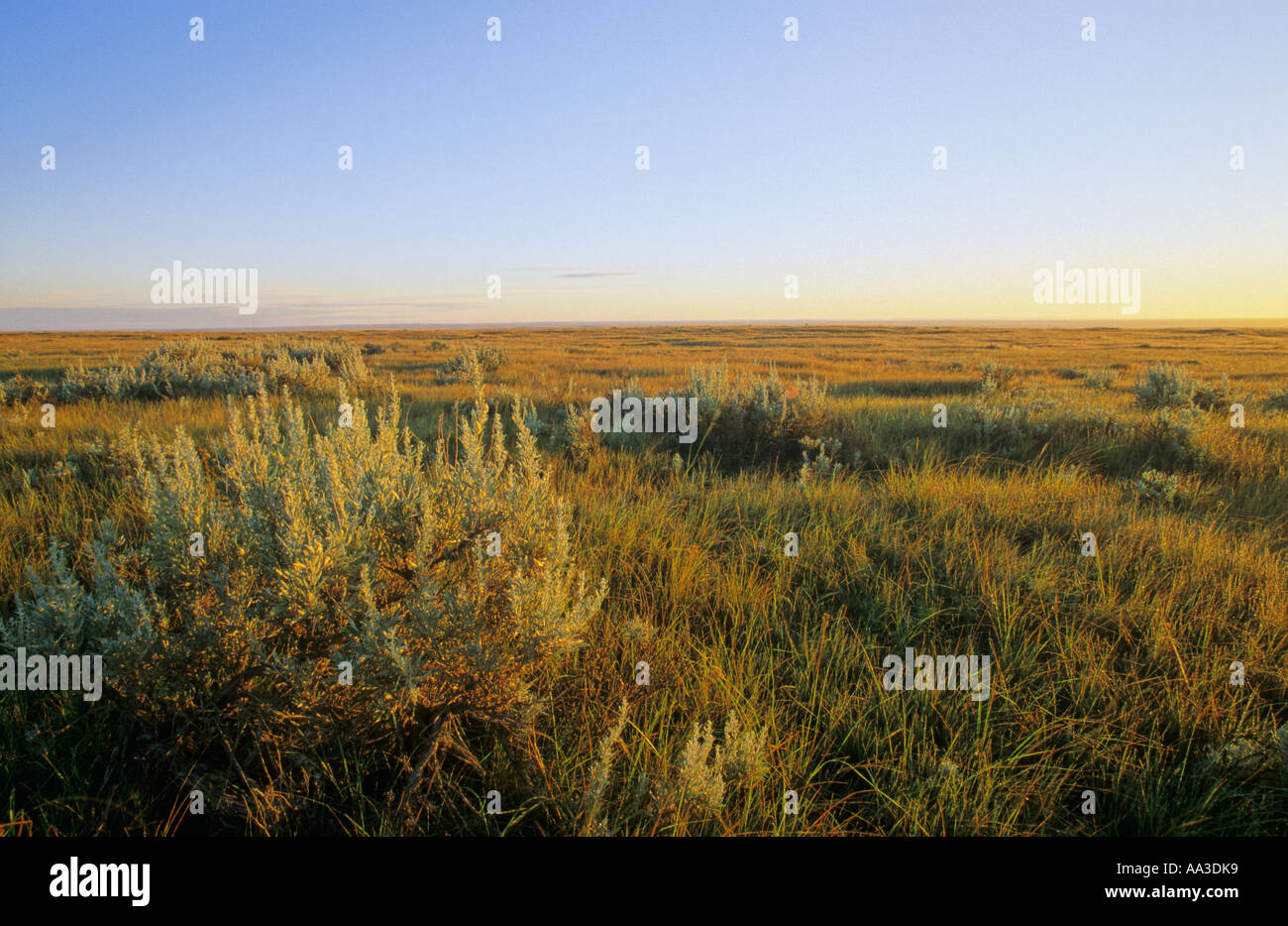 Sunrise on the Canadian Prairies Alberta and Saskatchewan border Canada ...