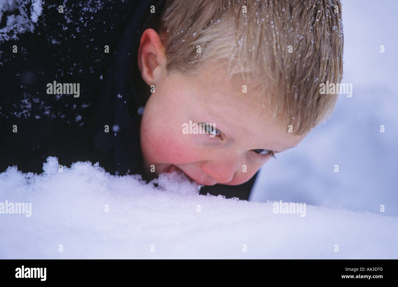 Four year old boy eating hi-res stock photography and images - Alamy