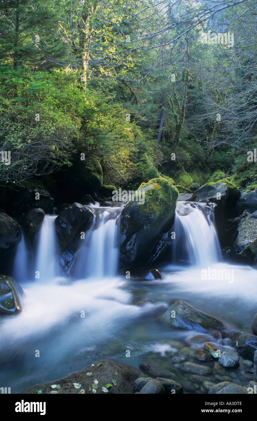 Knight inlet bc hi-res stock photography and images - Alamy