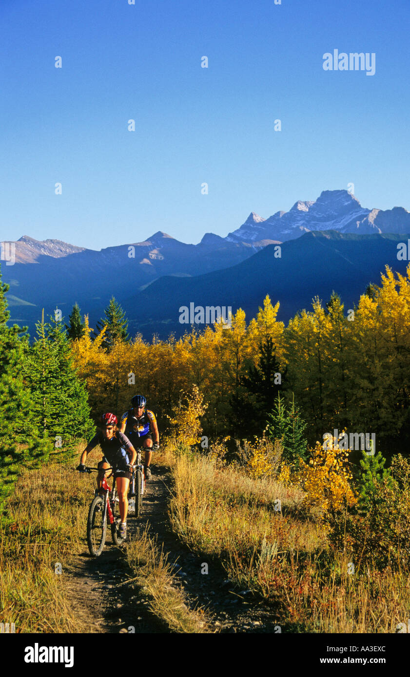 Mountain bikers riding through fall colours in the Canadian Rockies ...