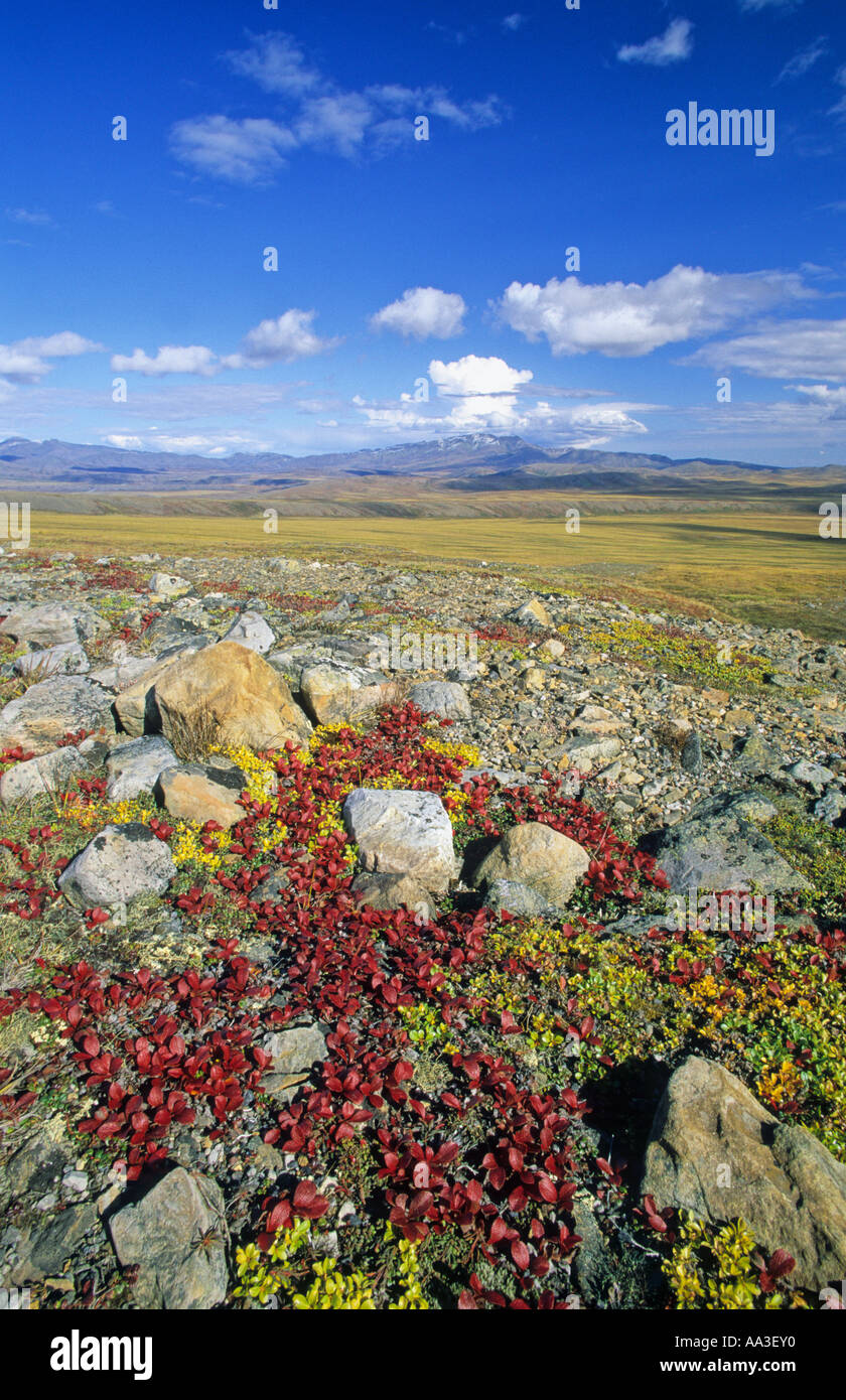 Canada tundra distance hi-res stock photography and images - Alamy