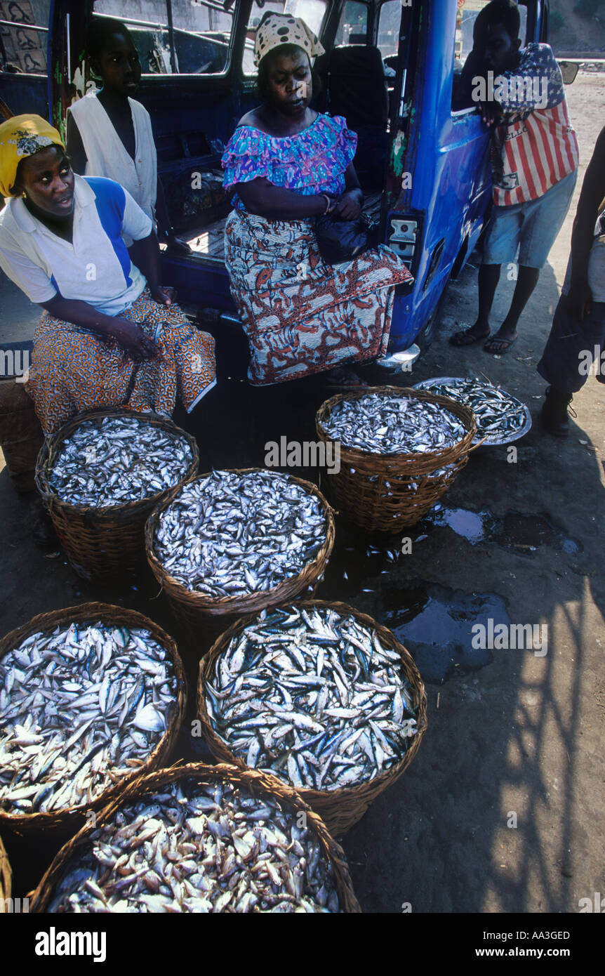 Freshly landed fish for sale in Accra Ghana Stock Photo - Alamy