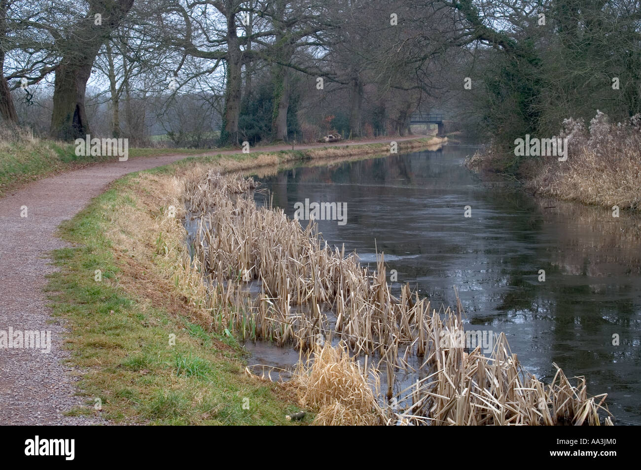 Grand western canal devon hi-res stock photography and images - Alamy