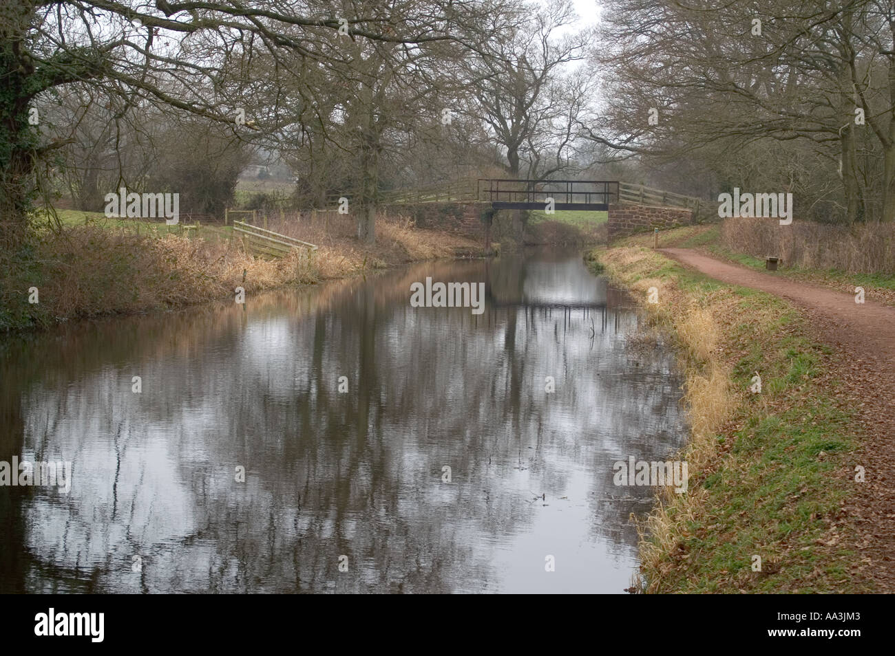 Grand western canal Devon winter 2006 Stock Photo - Alamy