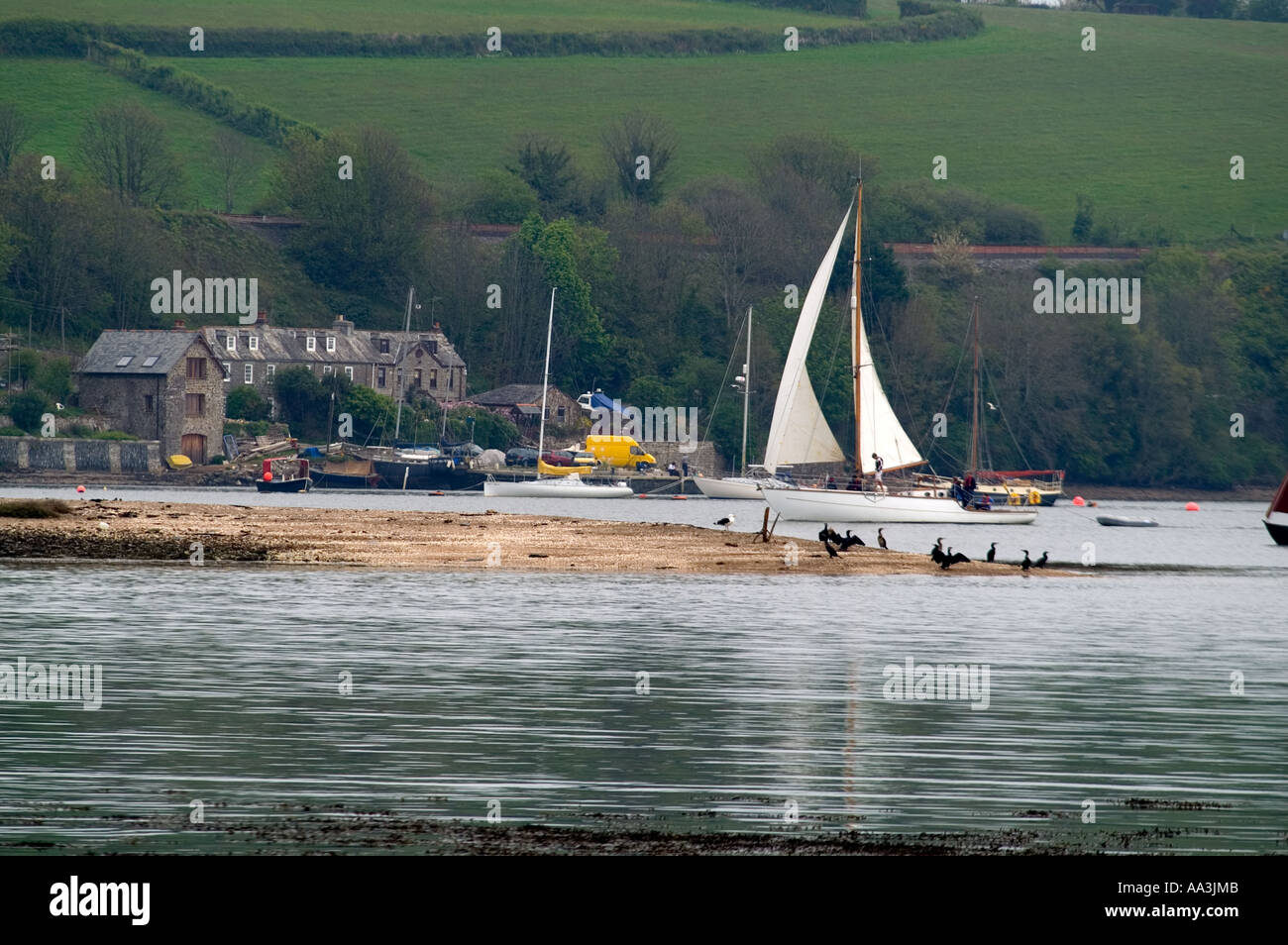 River Lynher seen from Antony woodland garden cornwall spring Stock ...