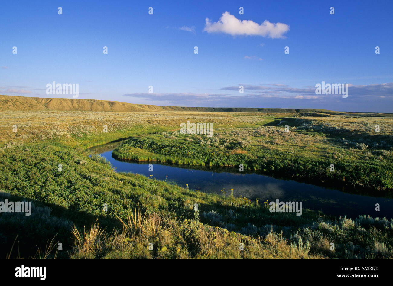 Saskatchewan native hi-res stock photography and images - Alamy