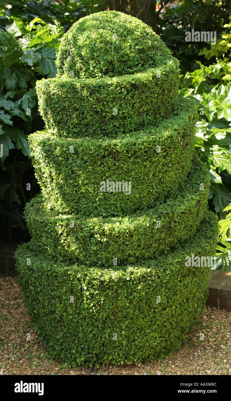 Spiral topiary hi-res stock photography and images - Alamy