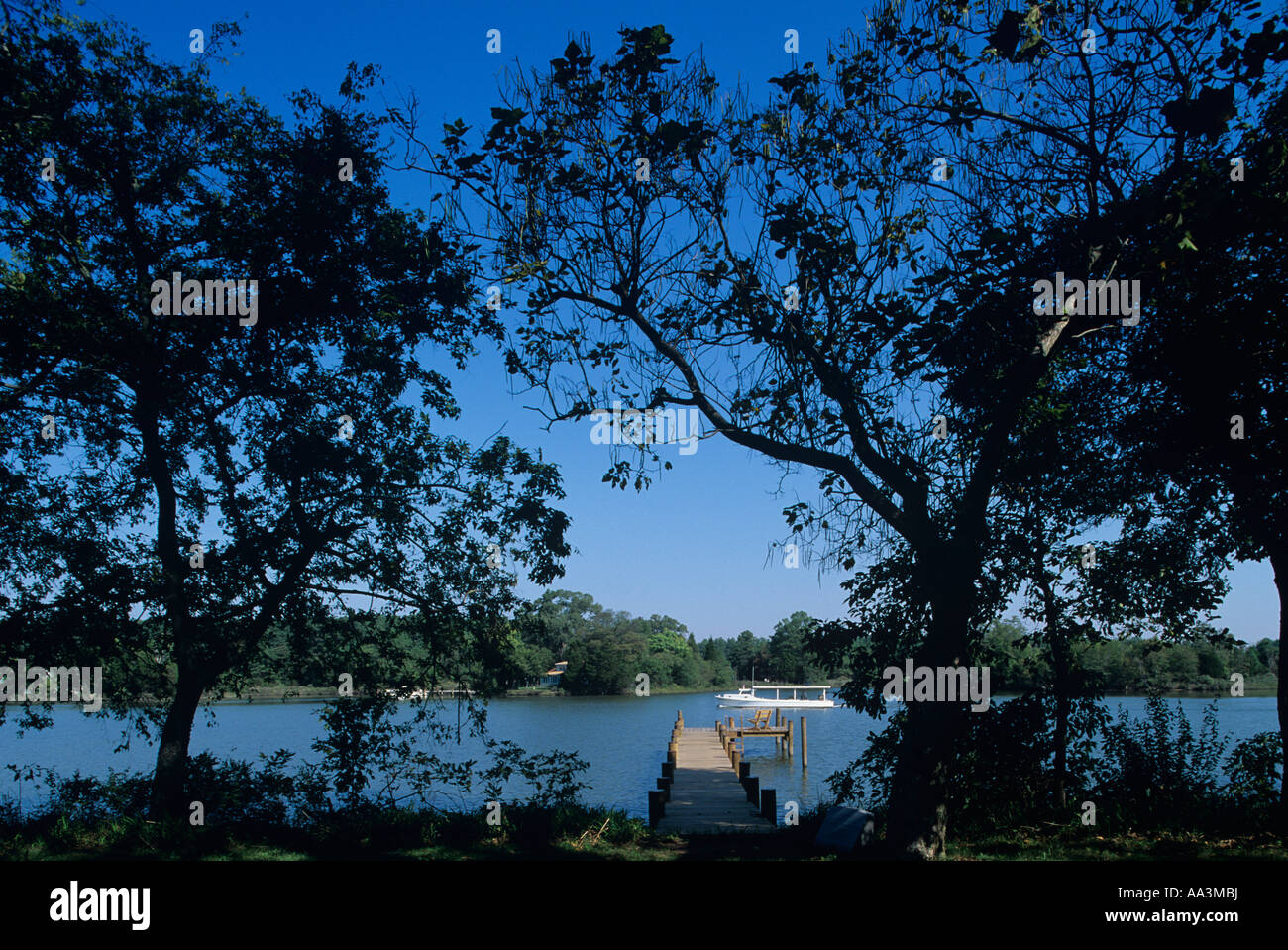 USA Maryland Narrow river channel along Wicomico River near Cambridge ...