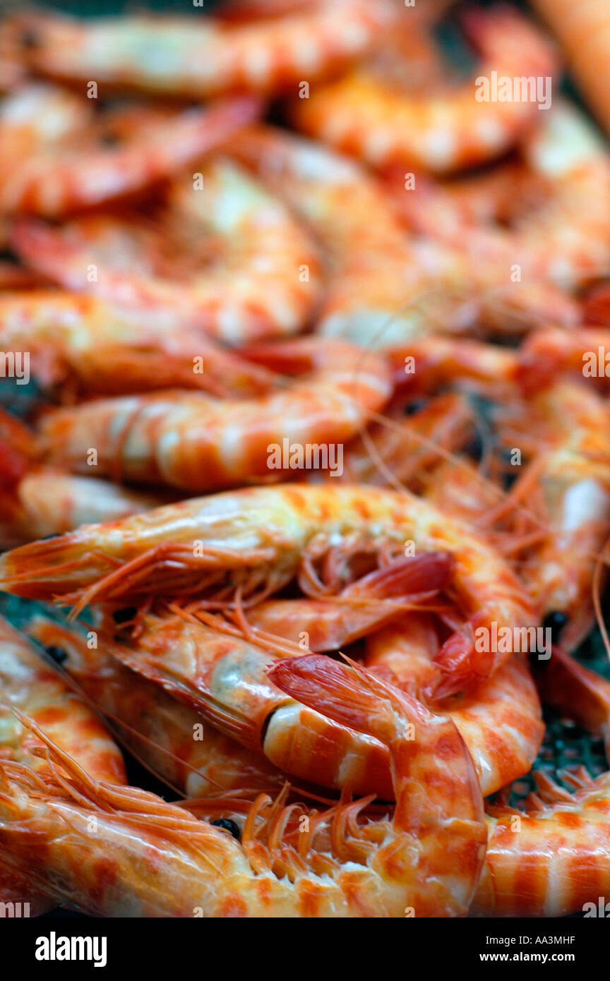 Shrimp close up Stock Photo - Alamy