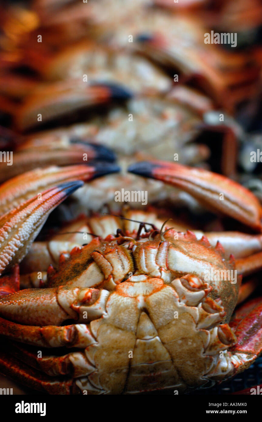 Crab close up Stock Photo - Alamy