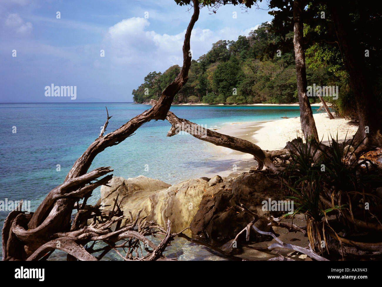 India Andaman Islands Havelock No 7 village Radha Nagar beach through ...