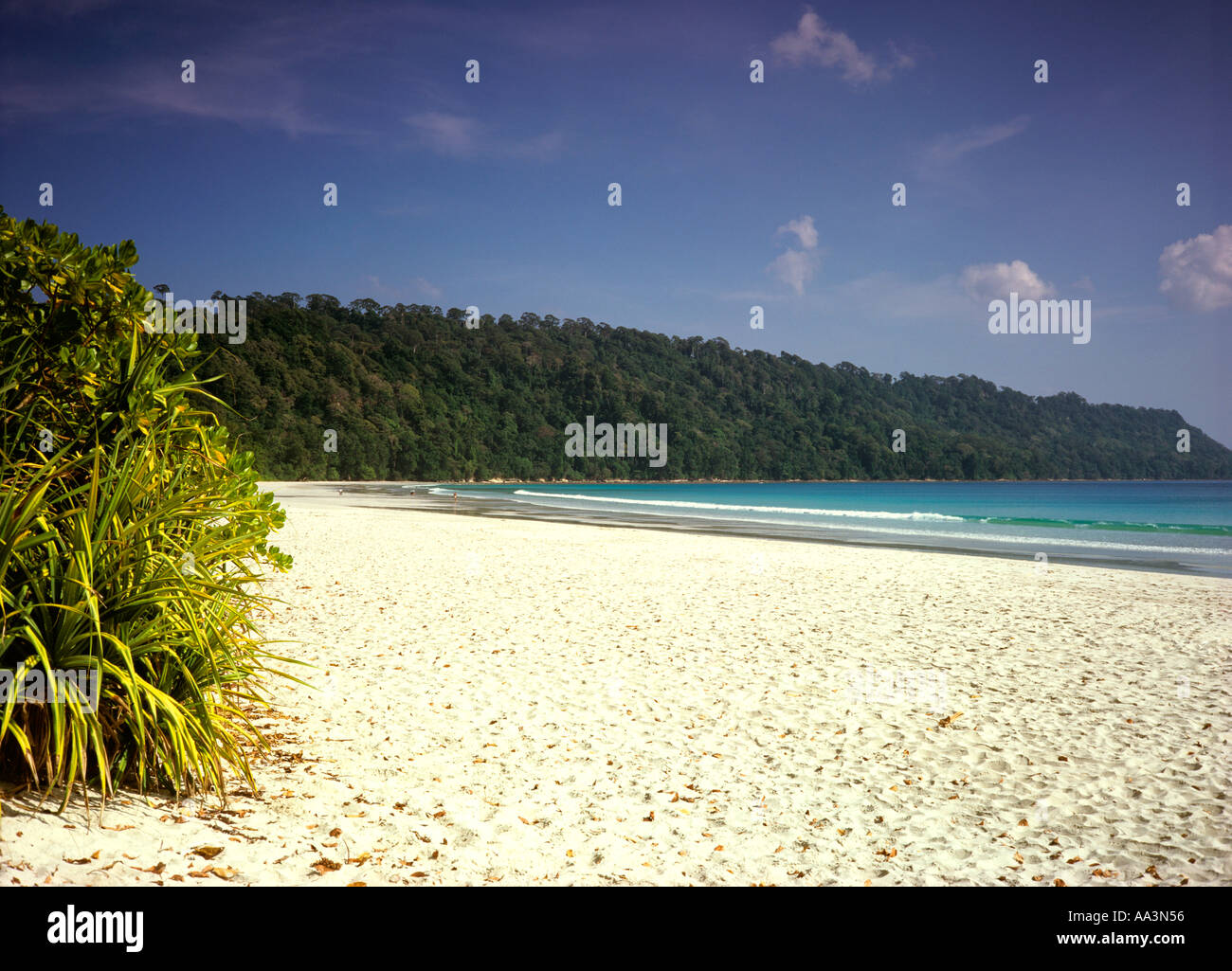 India andaman islands hi-res stock photography and images - Alamy