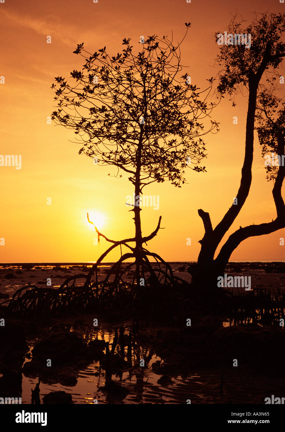 Andaman and nicobar islands state hi-res stock photography and images ...