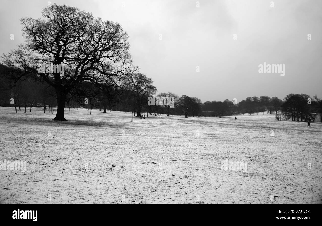 First Snowfall at Bramcote 1 Stock Photo - Alamy